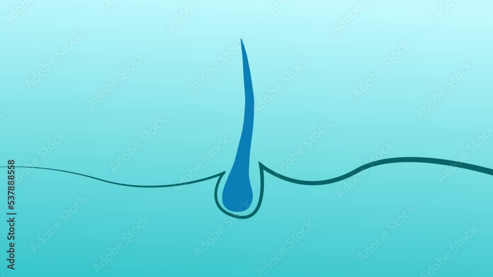 Treatment and prevention of hair follicle. Hair care concept. Cartoon ...