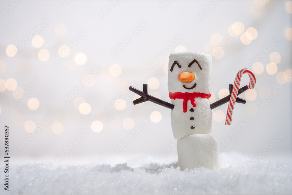Happy funny marshmallow snowman are having fun in snow. Merry Christmas ...