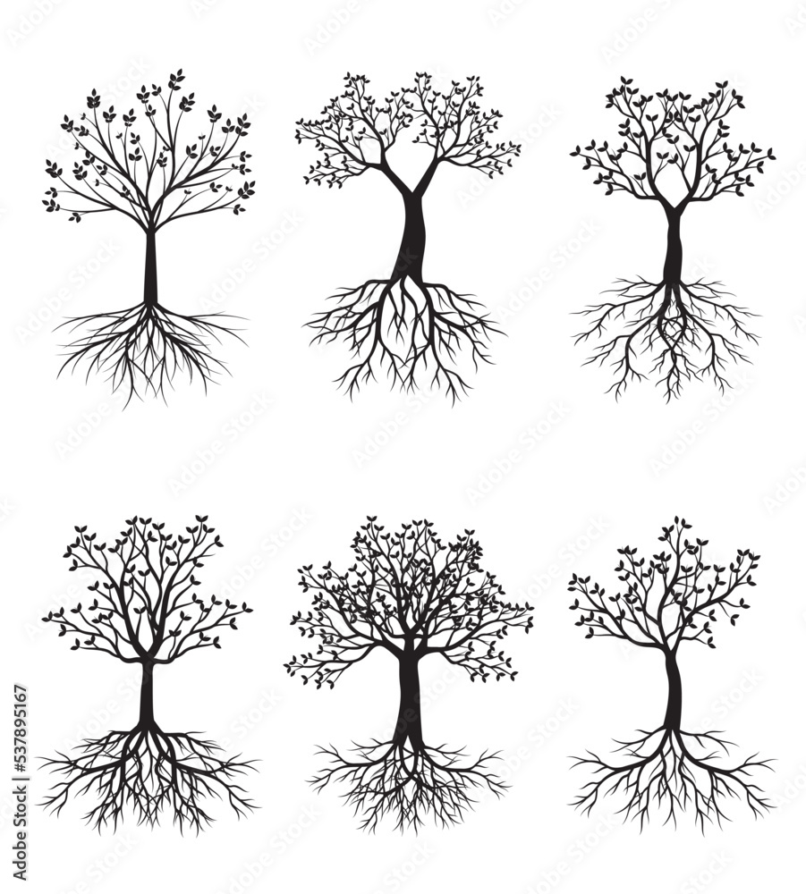 Set of black Trees with Roots. Vector outline Illustration. Plant in ...