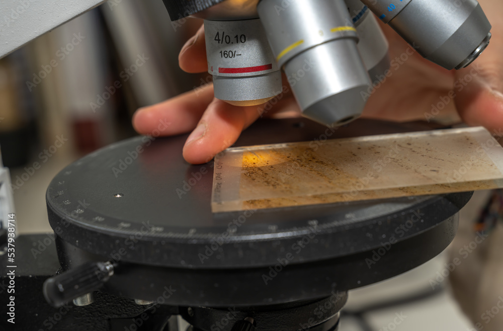 objectifs de microscope sur une lame de 30 micron pour observation et ...