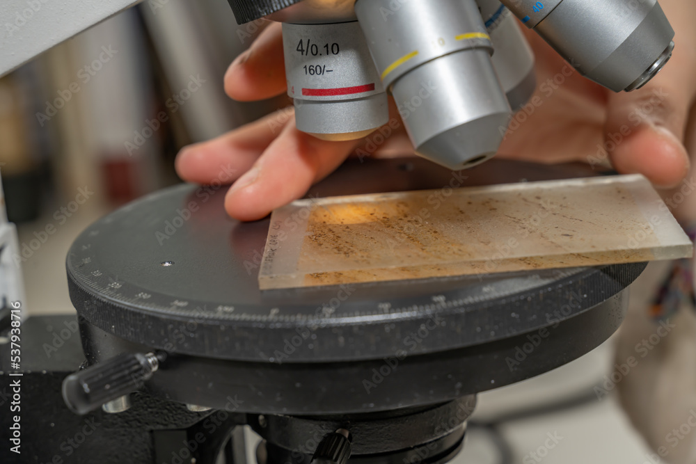 objectif de microscope sur une lame de résine de 30 microns pour ...