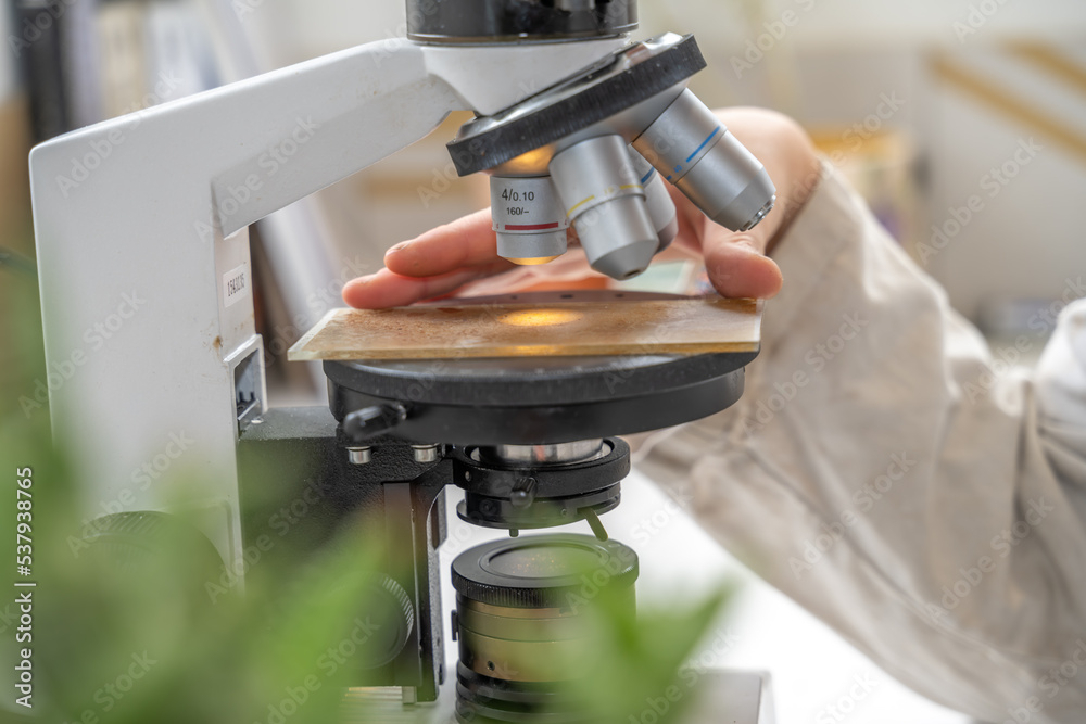 microscope avec une lame de terre pour travail de recherche d ...
