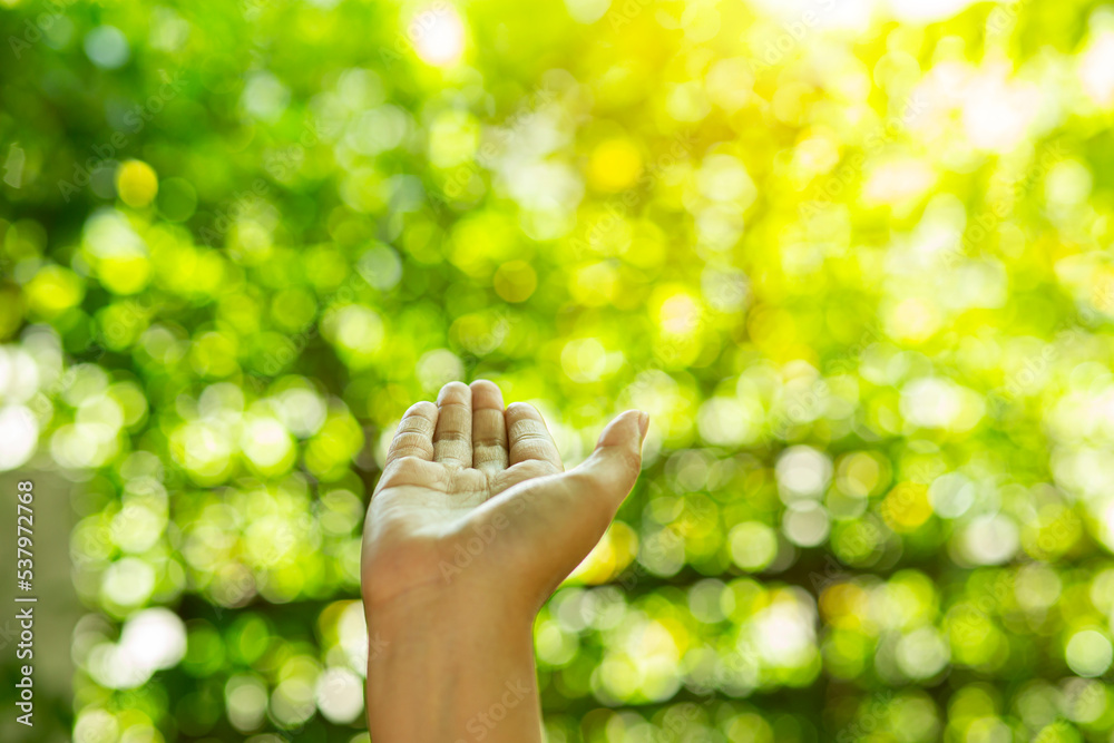 agricultural, agriculture, agronomist, agronomy, background, background ...