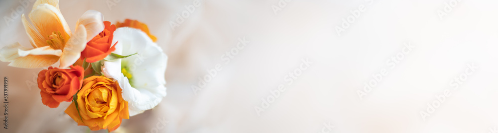 Nature of flower in garden using as cover page background natural flora ...