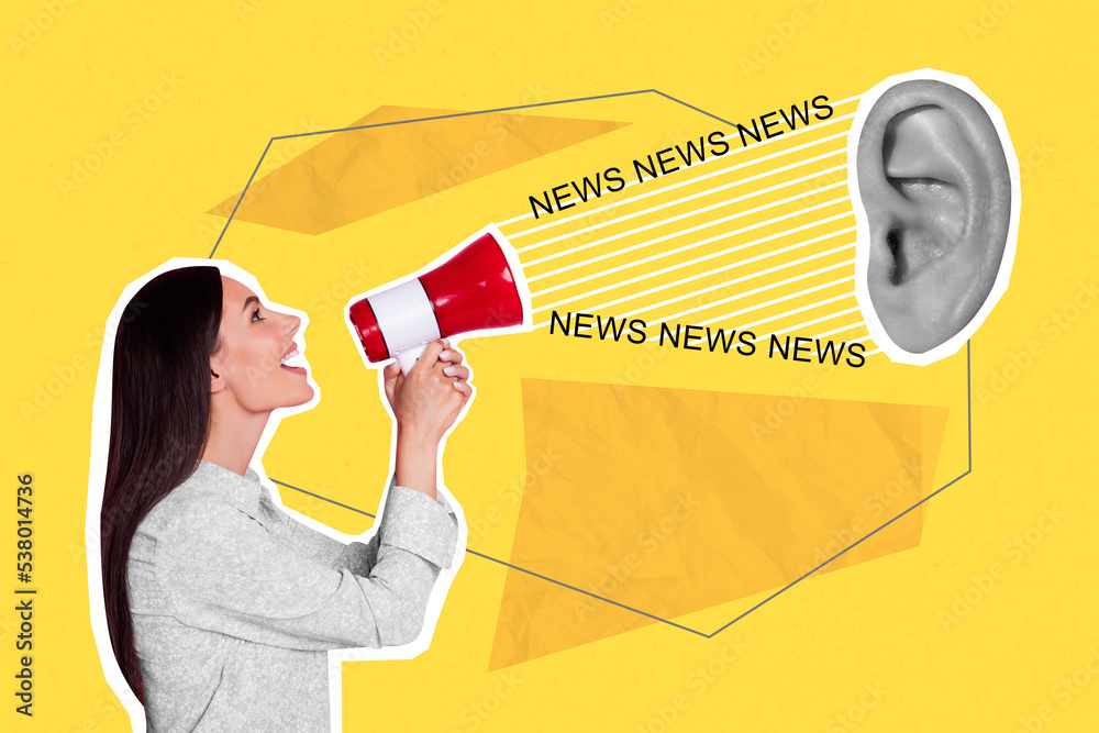 Collage side profile photo of young pretty reporter woman wear shirt ...