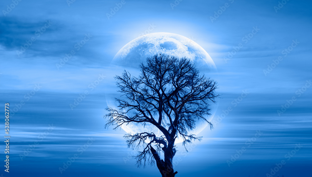 Lone dead tree with super full blue Moon "Elements of this Image ...
