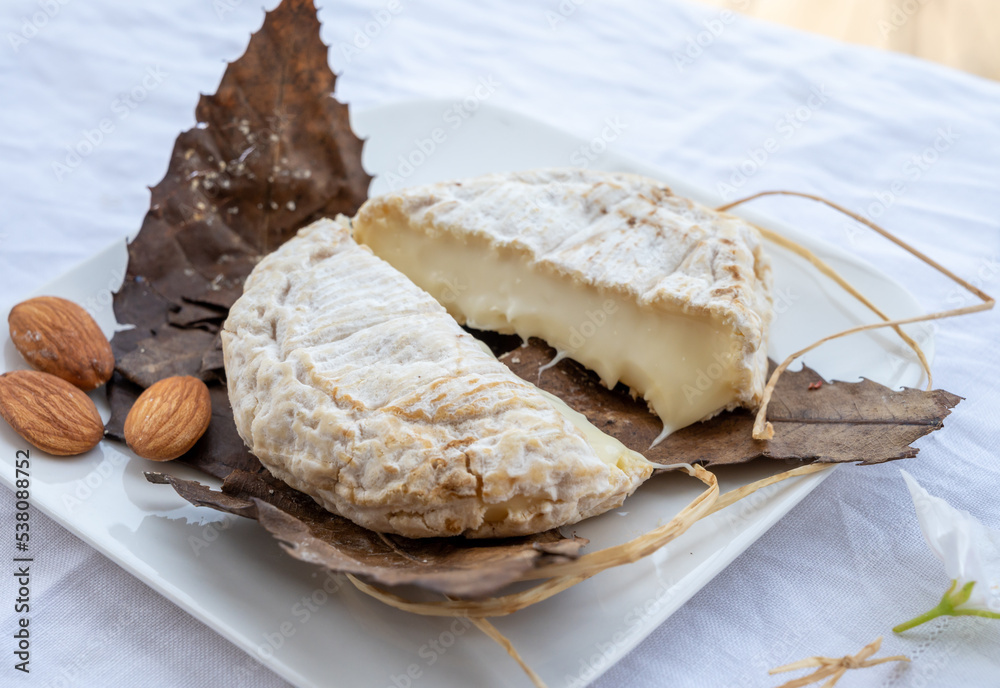 French mountains cheese banon wrapped in chestnut leaves made in ...