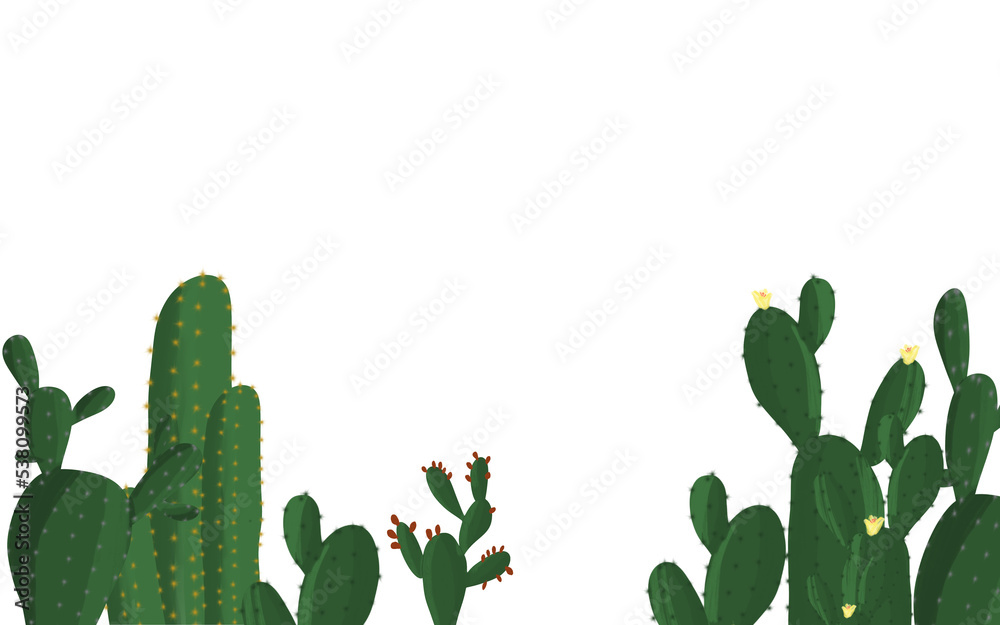 various kinds of green cactus isolated transparent background png Stock ...