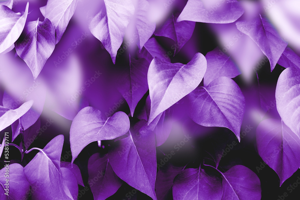 Fondo de naturaleza violeta, colores de hojas de otoño. Surrealista y ...