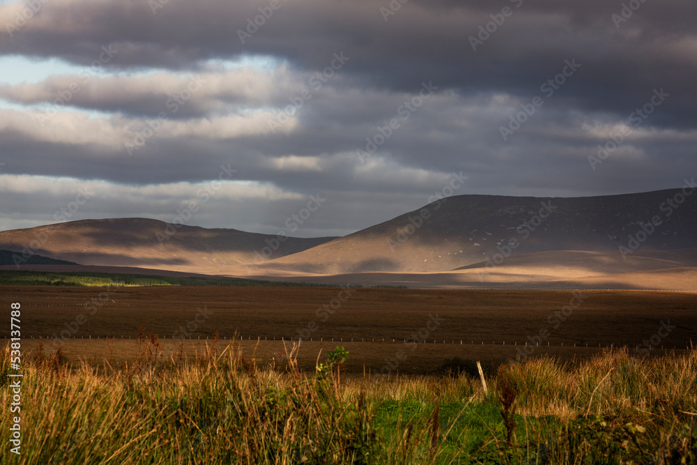 Foto de Impressive landscape of the vast and remote peatlands at the ...