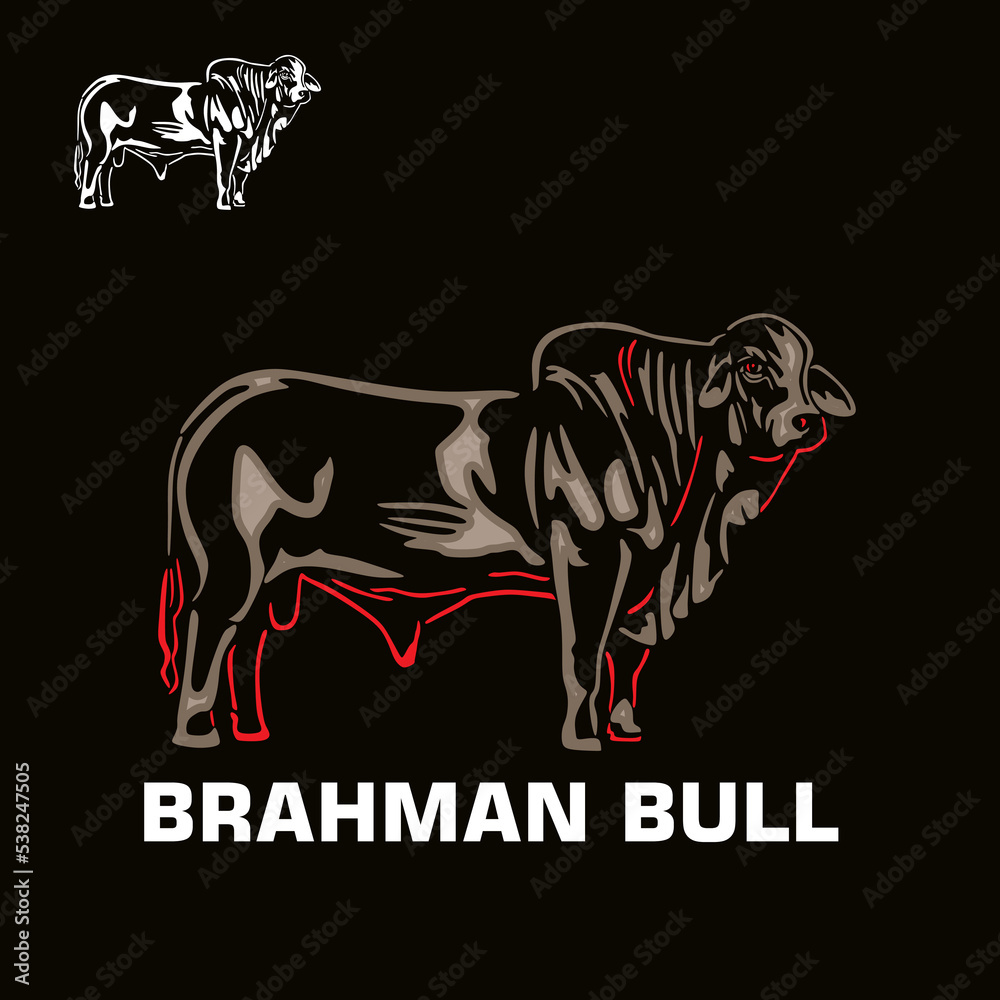 simple brahman bull logo, silhouette of great cattle standing vector ...