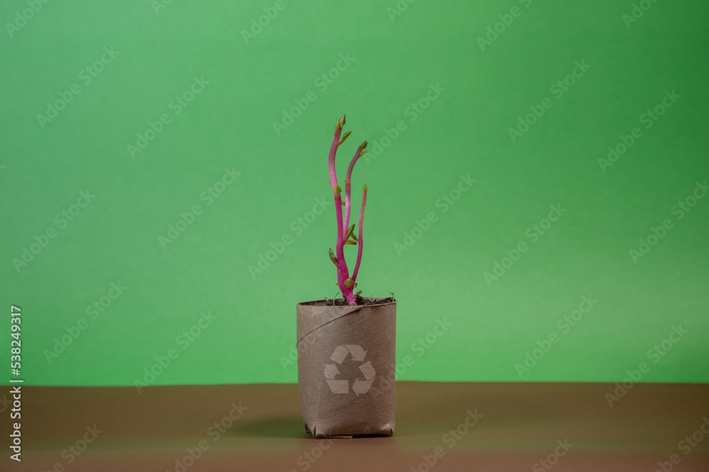 Concepto reciclaje, medioambiente sostenible, reutilización ...