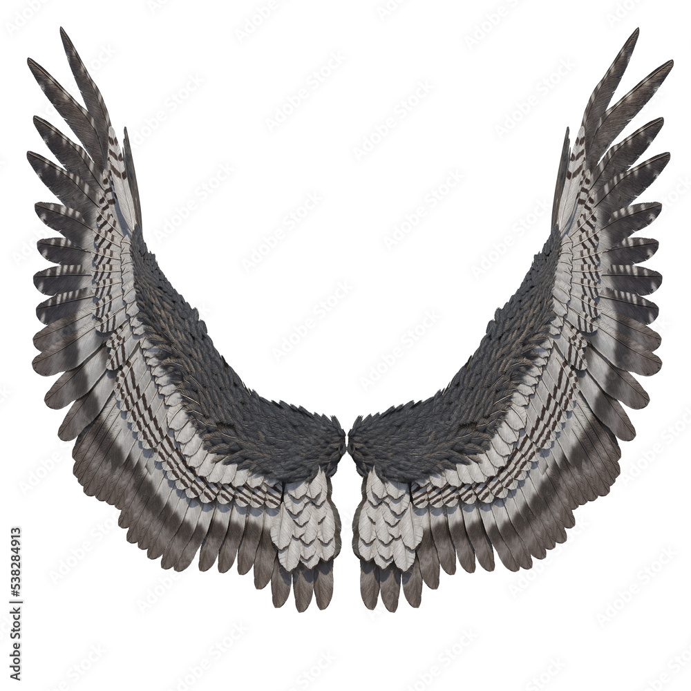 3D Rendered Fantasy Bird Wings Isolated On Transparent Background - 3D ...