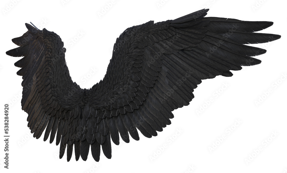 3D Rendered Fantasy Bird Wings Isolated On Transparent Background - 3D ...