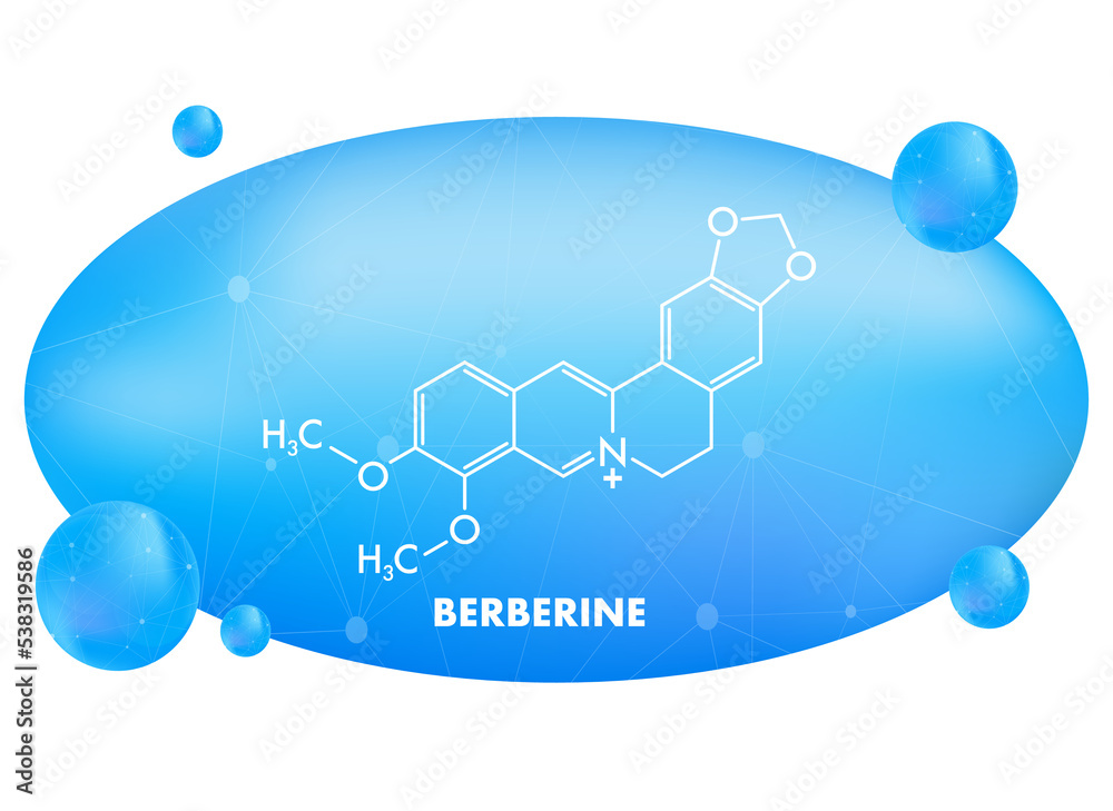 Berberine concept chemical formula icon label, text font vector ...