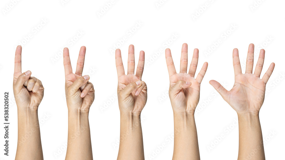Poster Man showing zero to five fingers count signs isolated on white ...