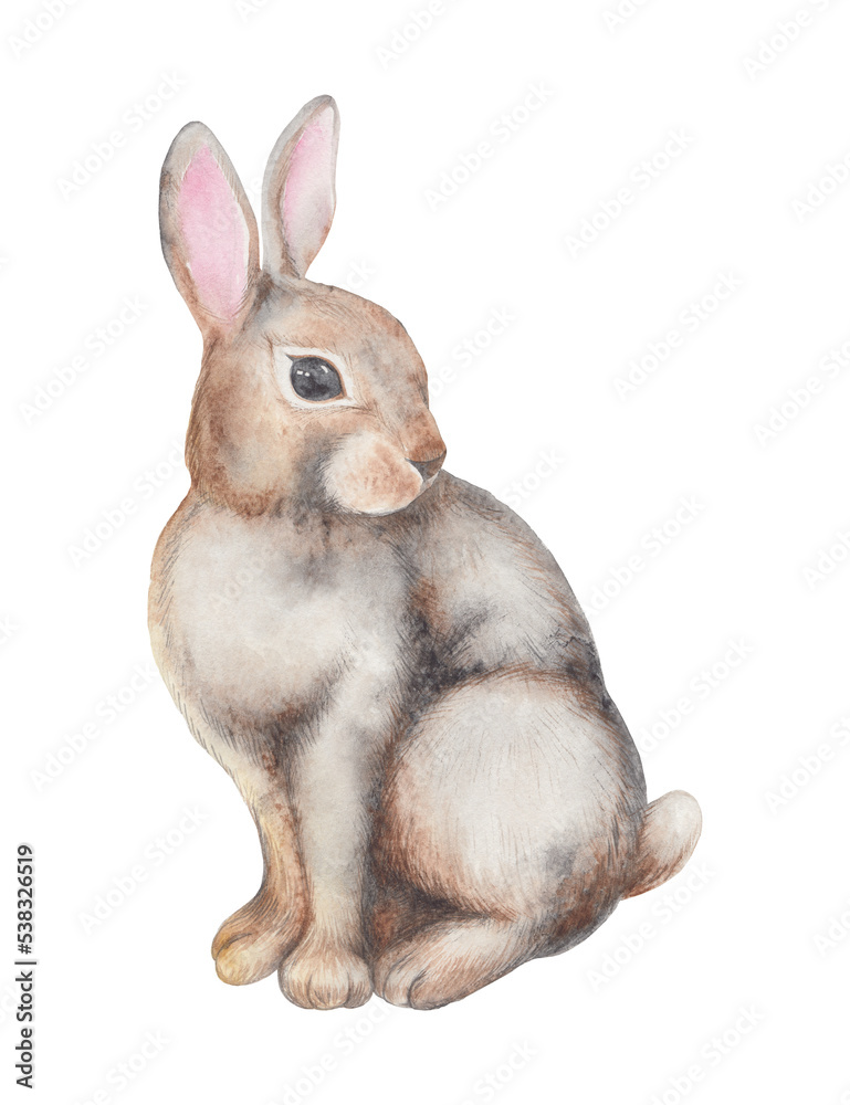 Transparent Background grey rabbit Illustration Png. Transparent ...
