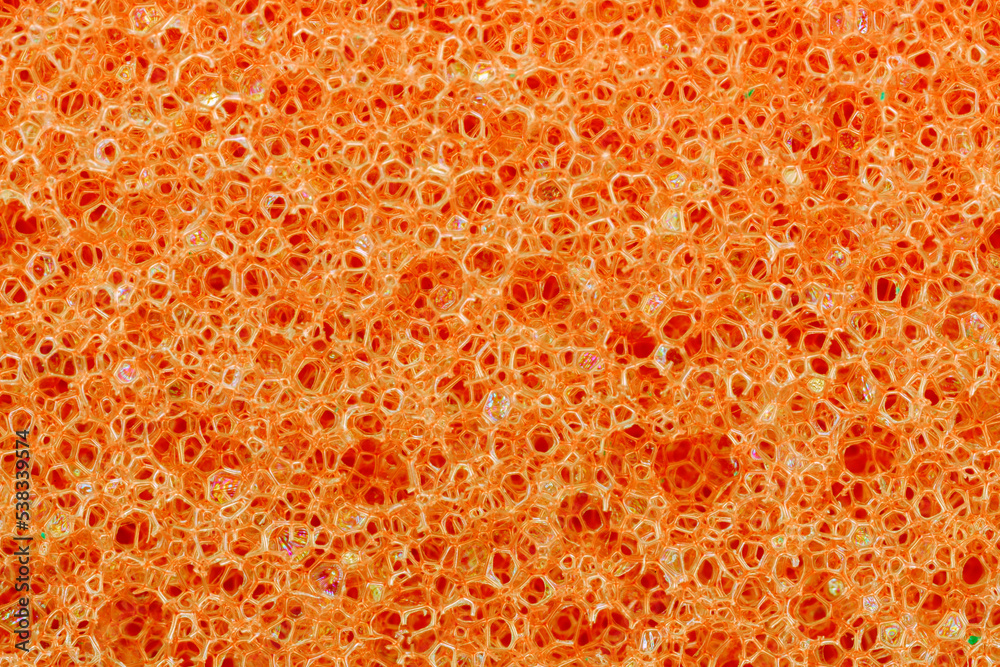sponge detail texture, sponge texture background Stock Photo | Adobe Stock