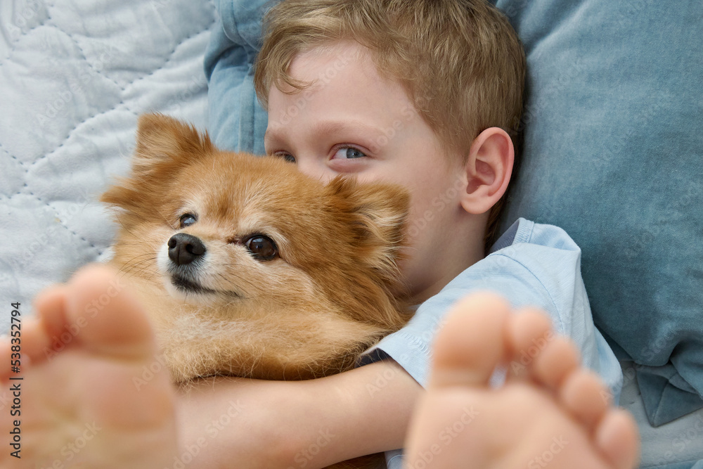 Funny child playing with fluffy red dog hugs his pet. A happy boy with ...