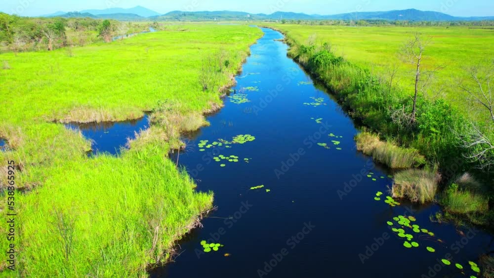 Video „Drones are flying over large wetlands, various aquatic plants ...