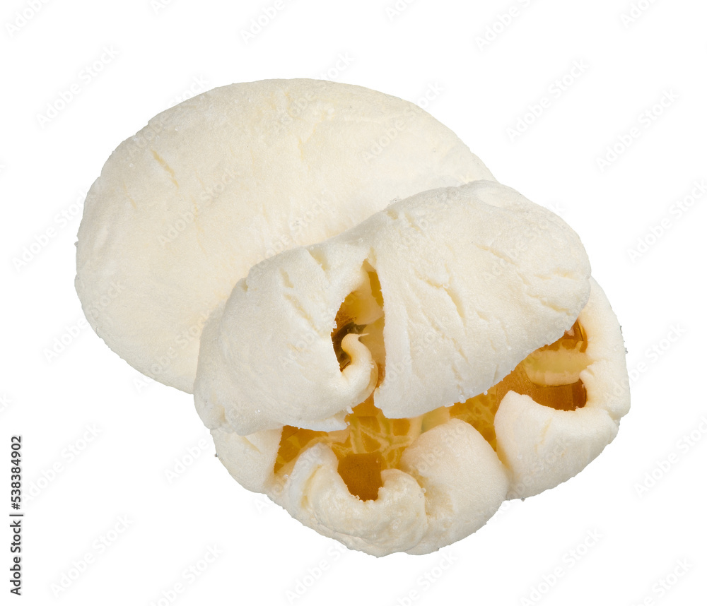 Single popcorn seed, macro shot isolated on transparent background as ...