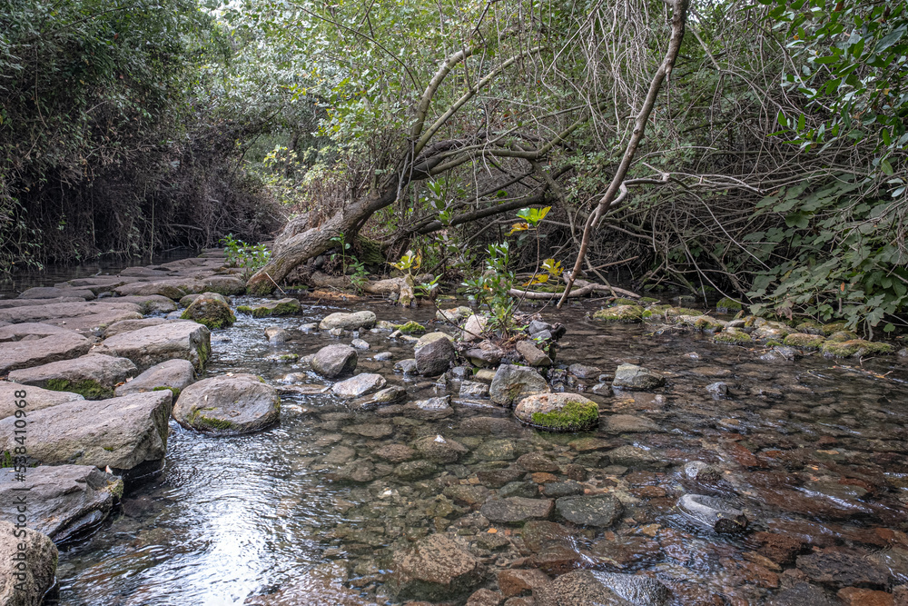 Dan River side stream, originating from Tel Dan springs, the largest of ...