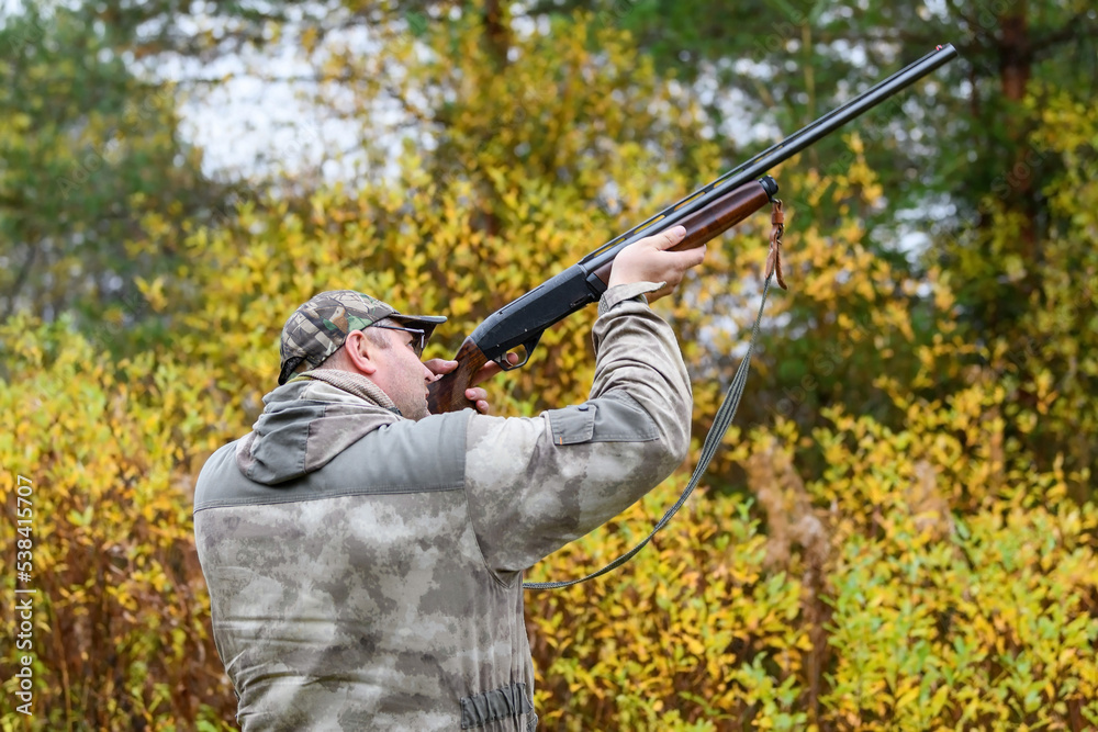 The hunter aims at the target - prey from a hunting gun in the forest ...