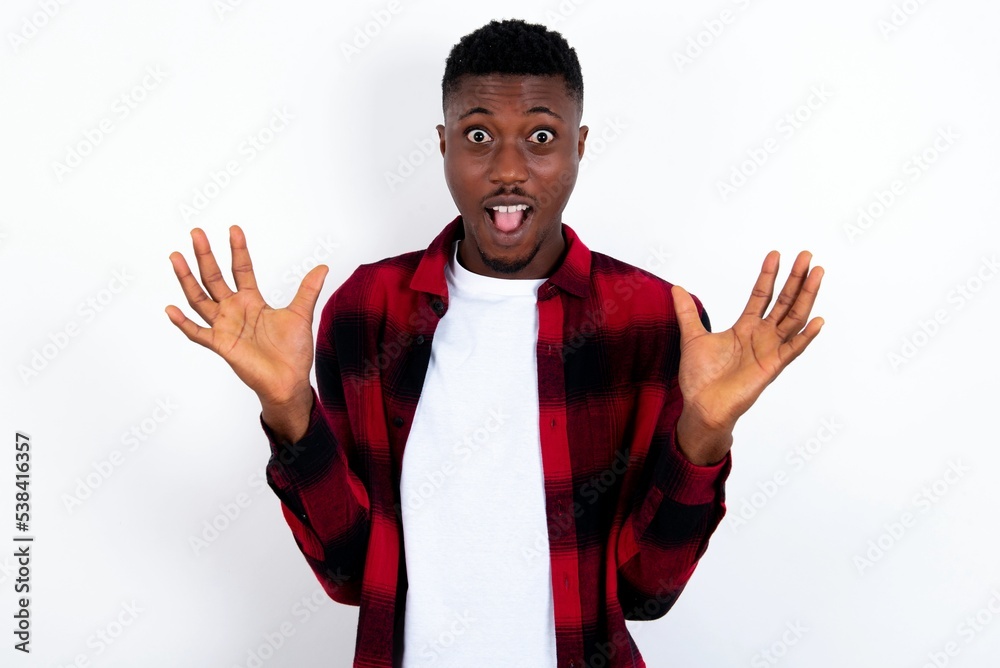 Crazy outraged young handsome man wearing plaid red overshirt over ...