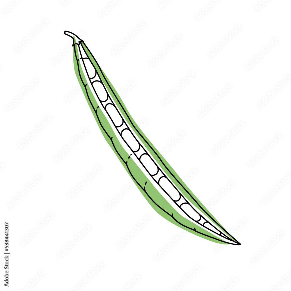 Doodle outline open green bean with spot. Vector hand-drawn ...