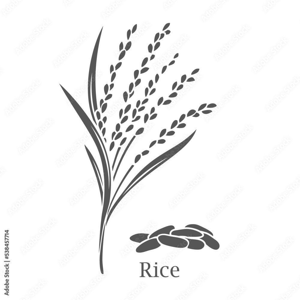 Rice cereal crop glyph icon vector illustration. Cut black silhouette ...