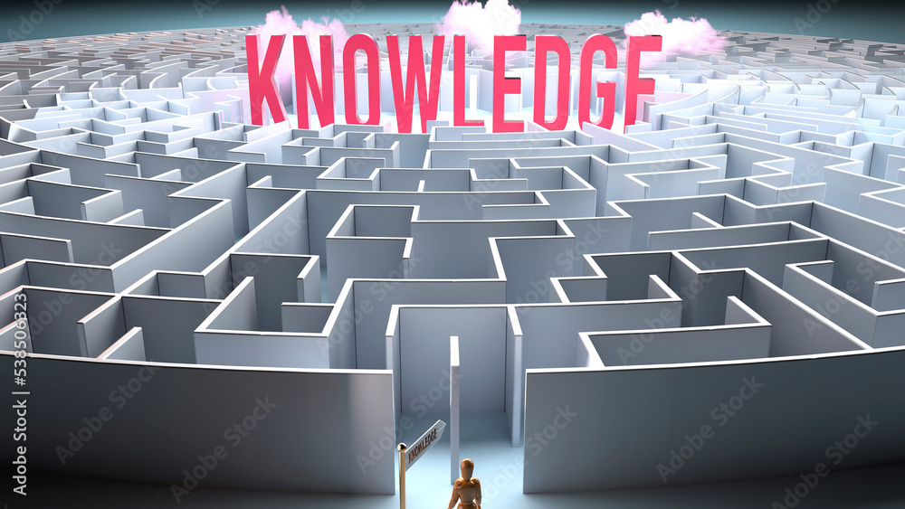 Knowledge and a challenging path that leads to it - confusion and ...