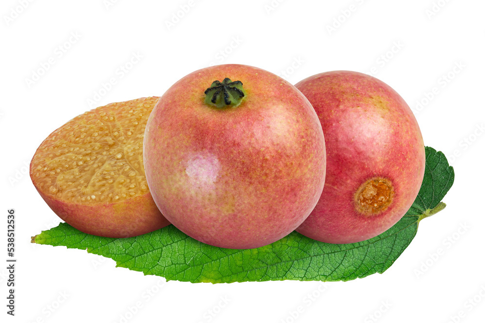 Jamaican cherry (or Calabura, Jam tree, Malayan Cherry, West Indian ...