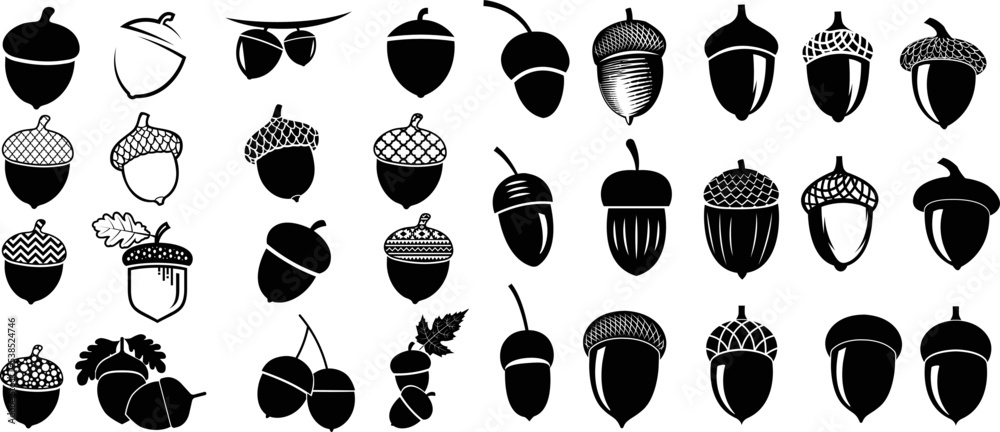 Acorn Vector SVG Bundle, Acorn Clipart Fall SVG Cut Files SET 01 Stock ...