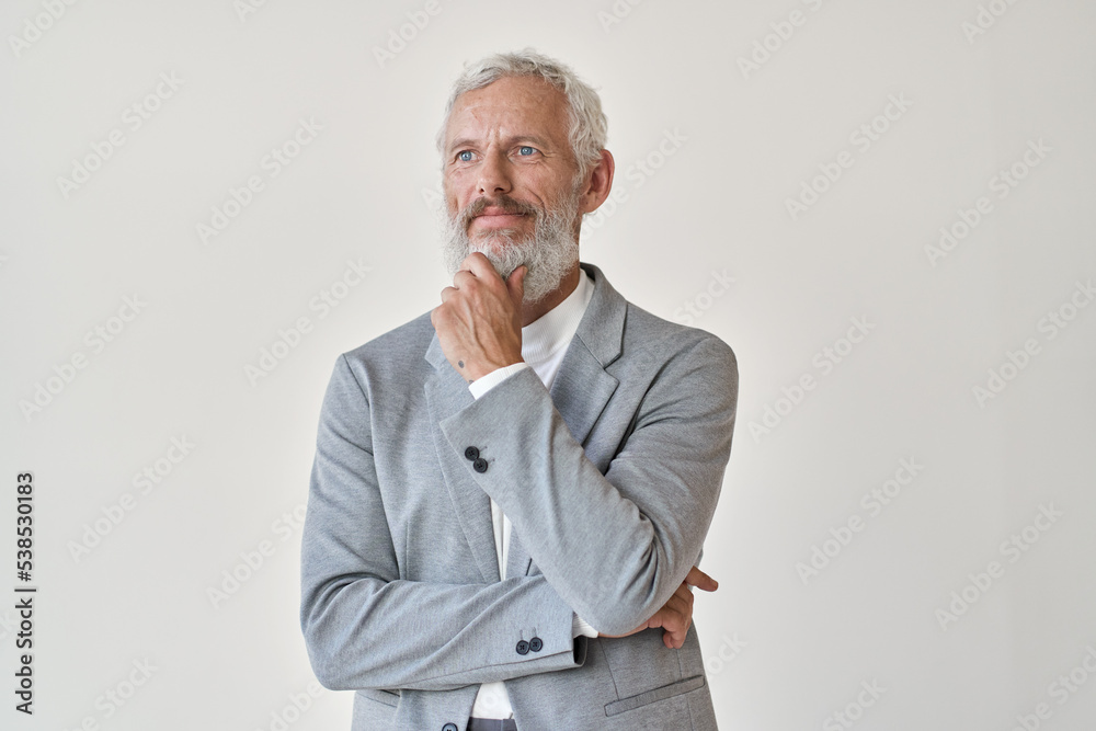 Mature older successful business man investor, thoughtful middle aged ...