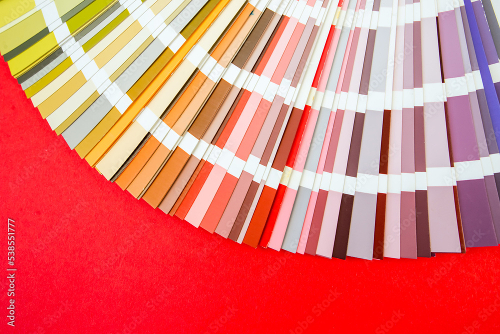 Color guide close up. Assortment of flowers for design. Color palette ...