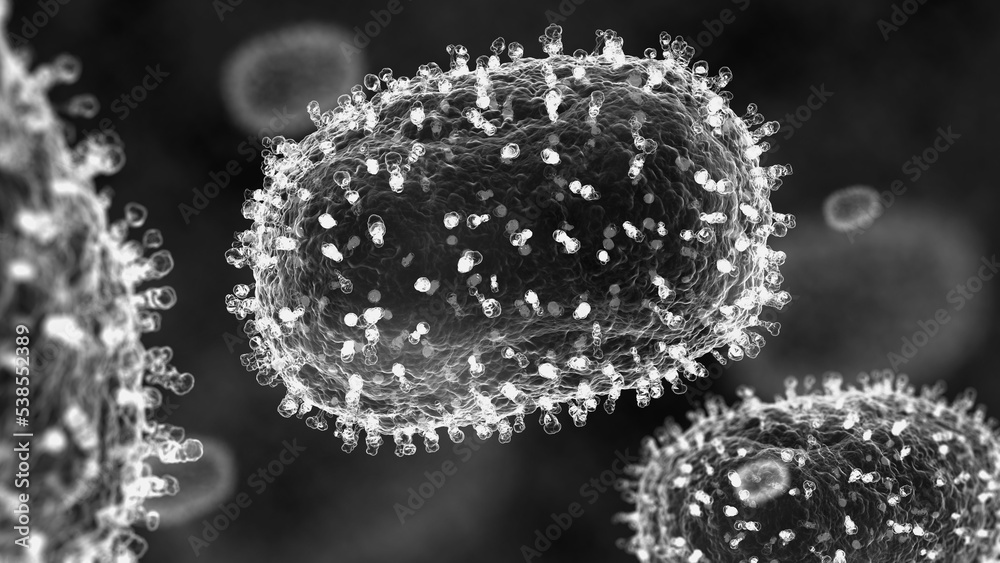 Detailed illustration of a monkeypox virus, few cells under a ...