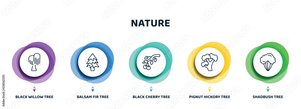 editable thin line icons with infographic template. infographic for ...