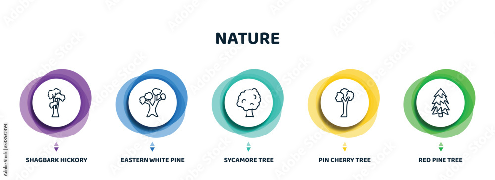 editable thin line icons with infographic template. infographic for ...