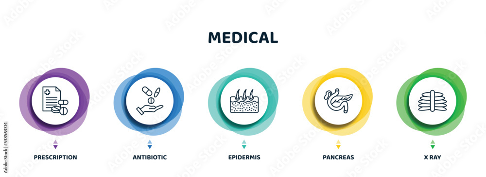 editable thin line icons with infographic template. infographic for ...