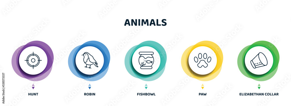 editable thin line icons with infographic template. infographic for ...
