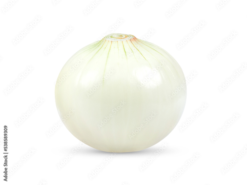 onion isolated on transparent png Stock Photo | Adobe Stock