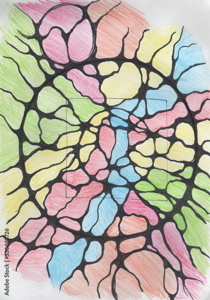 Color picture: Morphological structure of neocortex and neurons ...