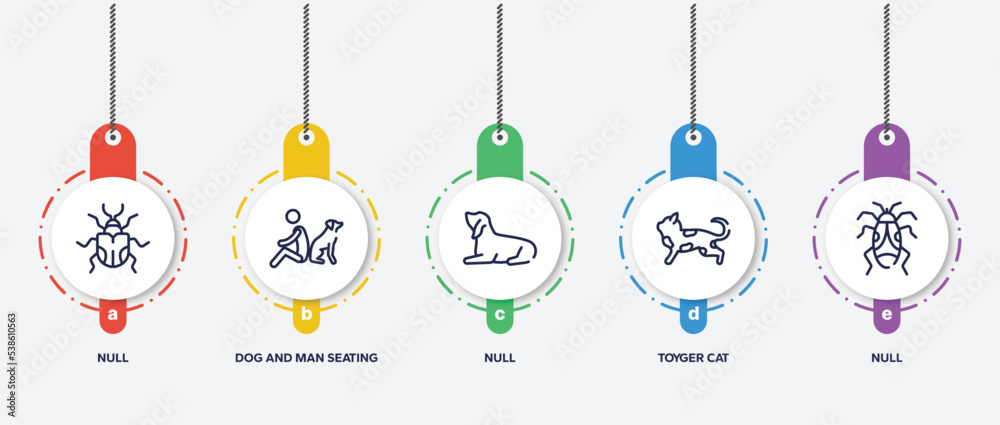 infographic element template with cat breed bodies outline icons such ...