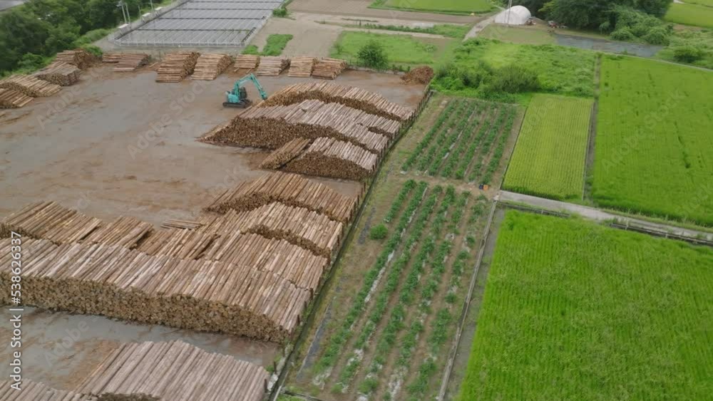 Rotating around stacks of cut logs at lumber yard in countryside Stock ...