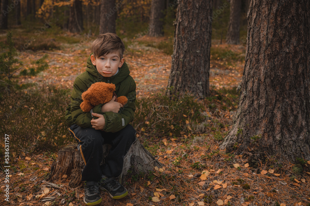 Child alone in the forest with a teddy bear. A boy in solitude in an ...