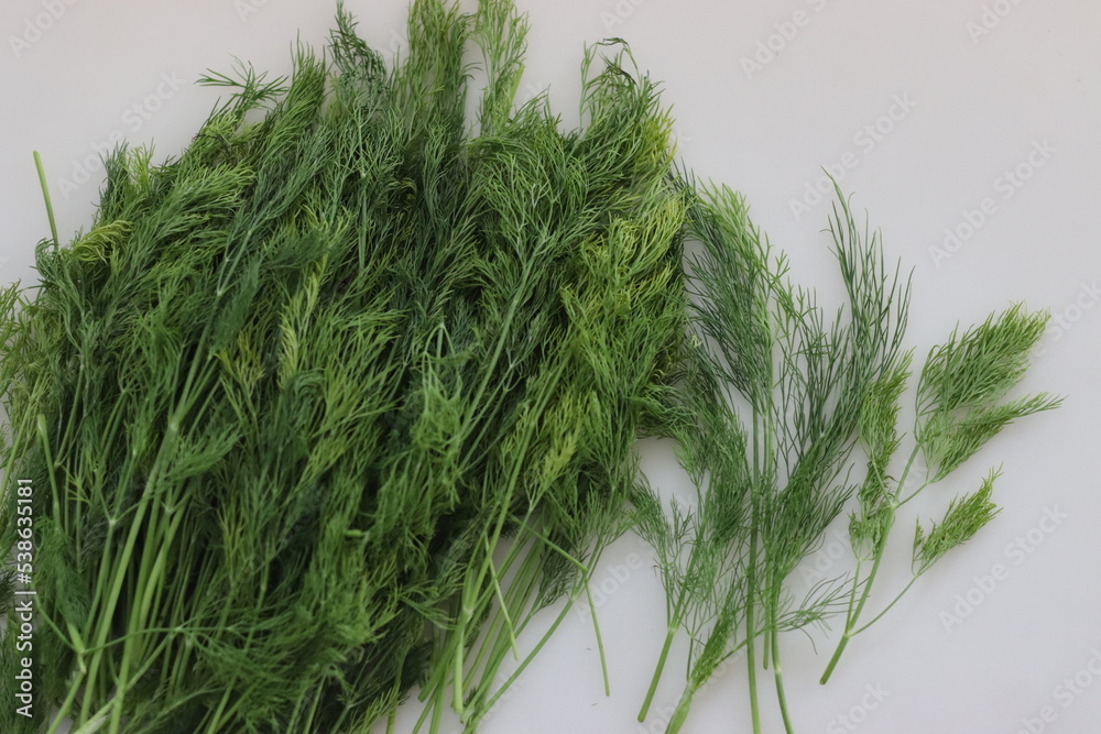 Dill Leaves, also known as Dill weed is a green leafy vegetable that ...