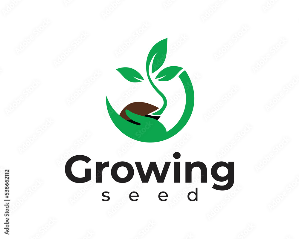 Growing seed logo, green seed logo type illustration, nature logo with ...