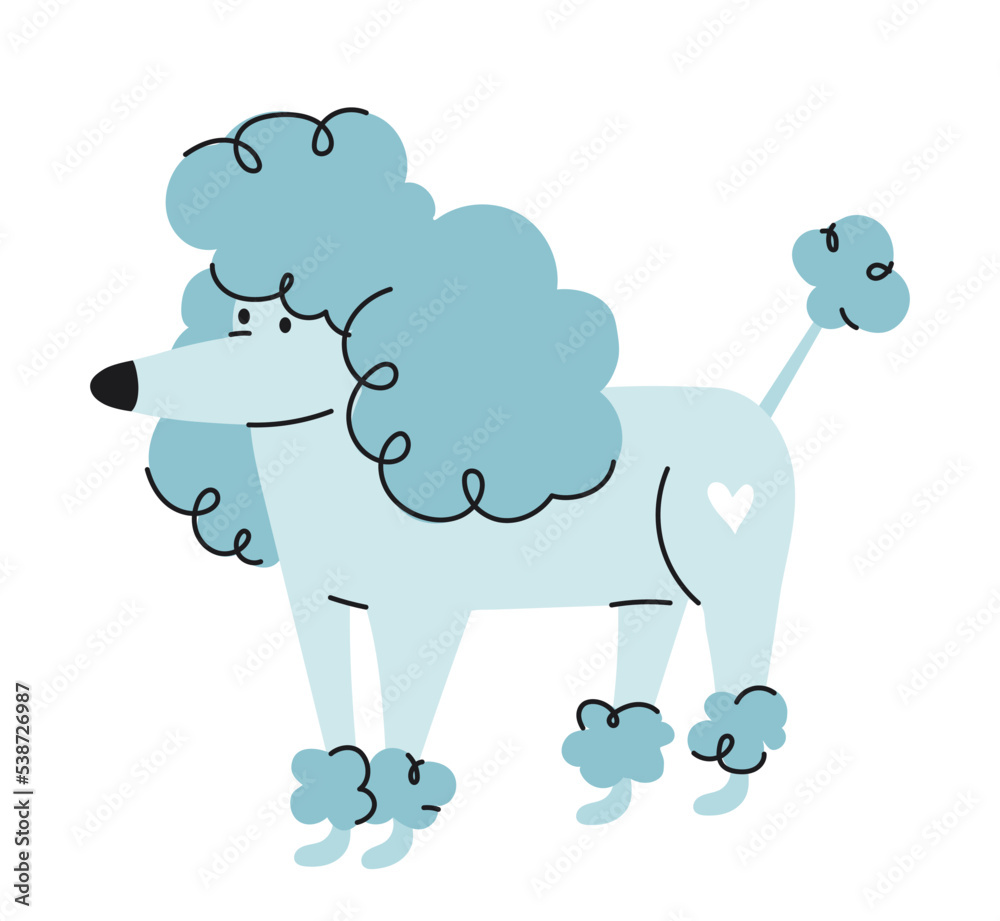 Blue cute doodle dog. Poodle with big hair. Beauty, elegance and ...
