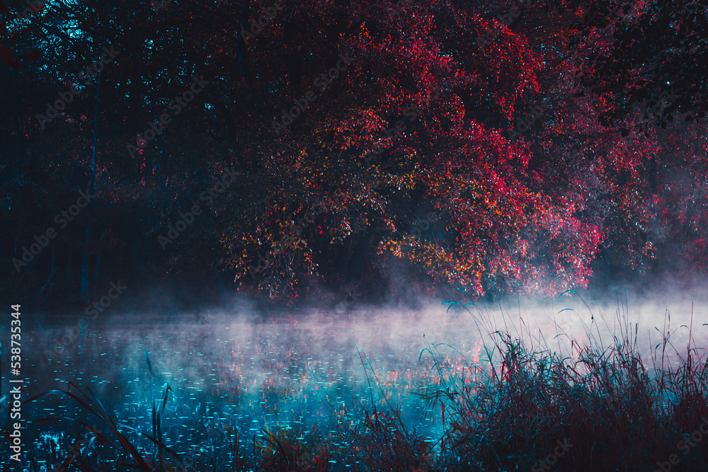 Strangers park. Mysterious fairy forest. Dark fantasy wallpaper ...