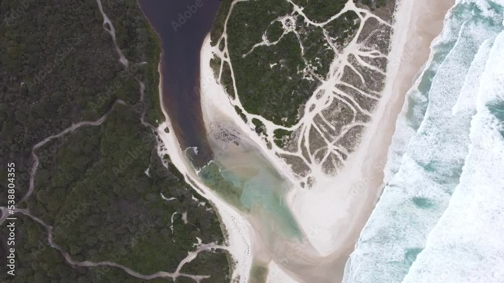 Wildlife in Torbay Inlet, a secret spot located in the south of Western ...